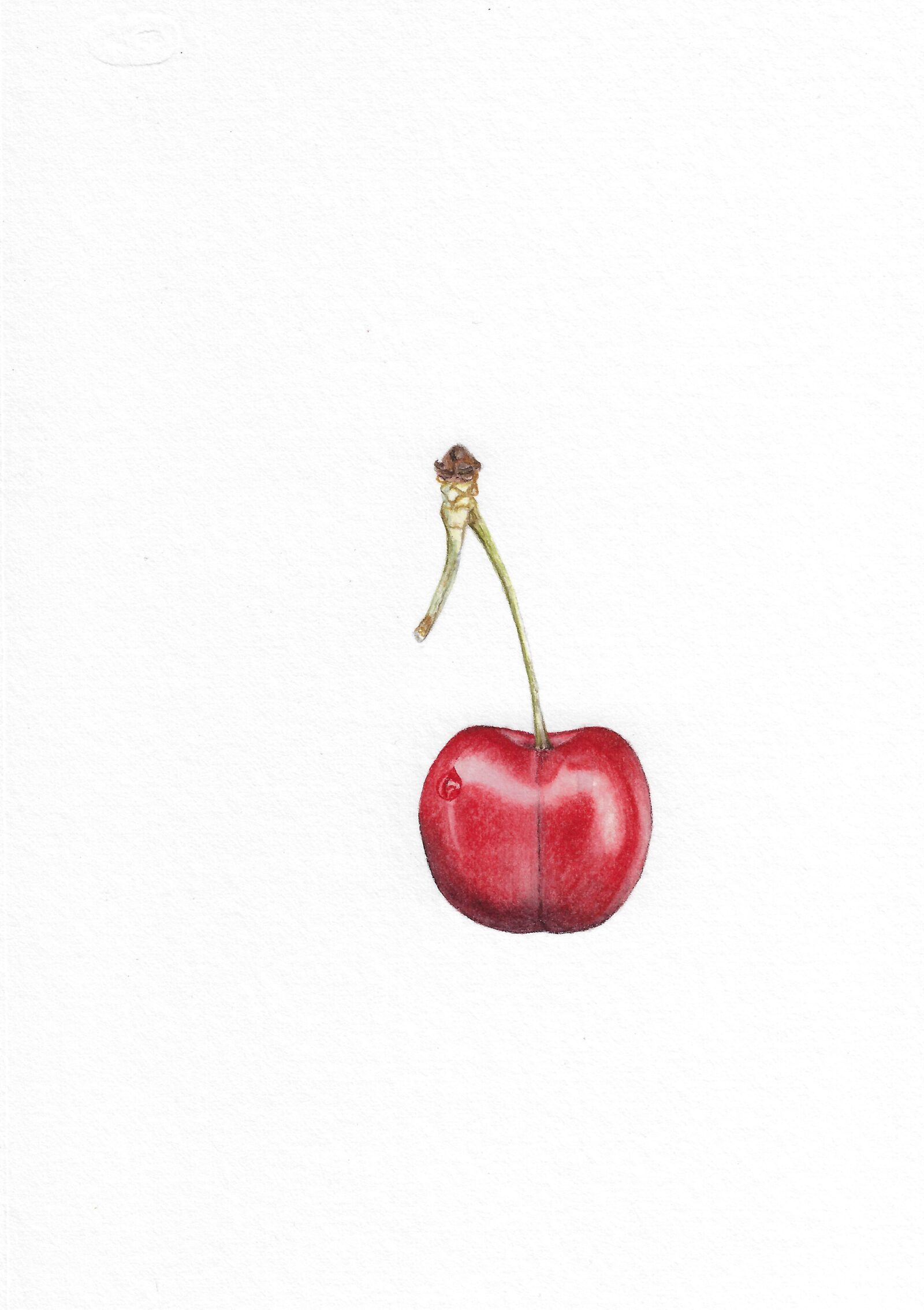 Galerie – Katja Katholing-Bloss